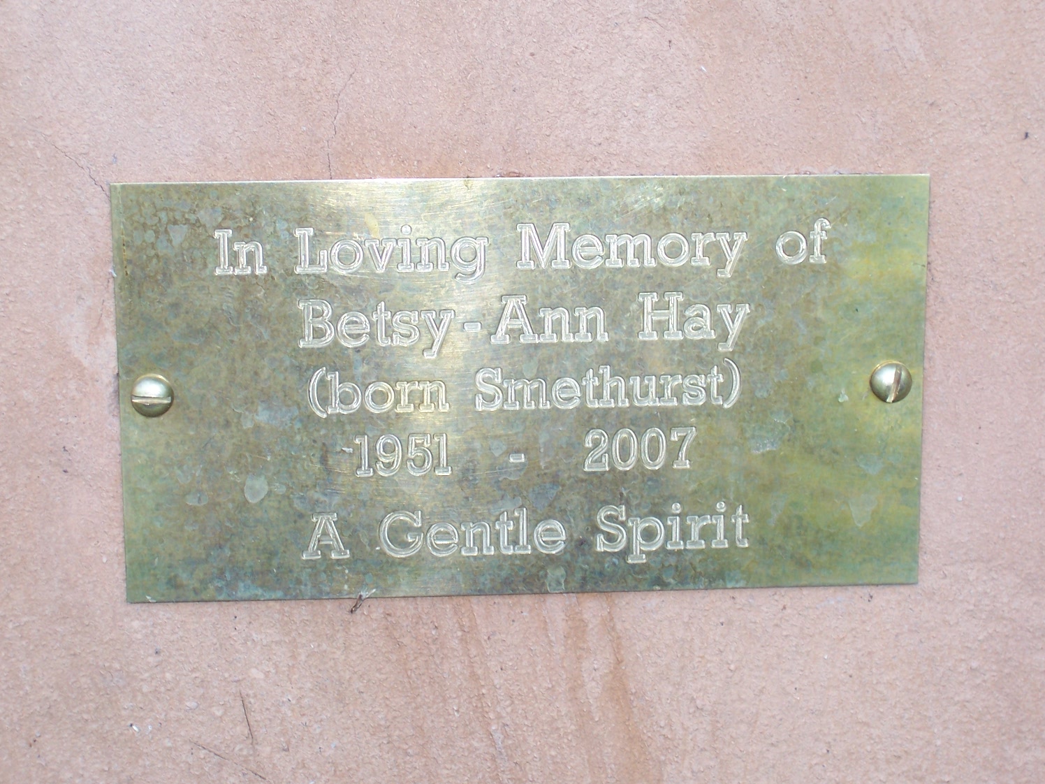 Betsy-Ann Hay Memorial Plaque – Hillcrest K/Ntl – Smethurst Website